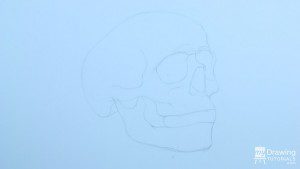 How To Draw A Skull In 3/4 View | My Drawing Tutorials