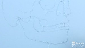 How To Draw A Skull In 3/4 View | My Drawing Tutorials