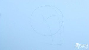 How To Draw A Skull In 3/4 View | My Drawing Tutorials