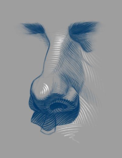 Sales Page – Drawing Noses Made Simple | My Drawing Tutorials