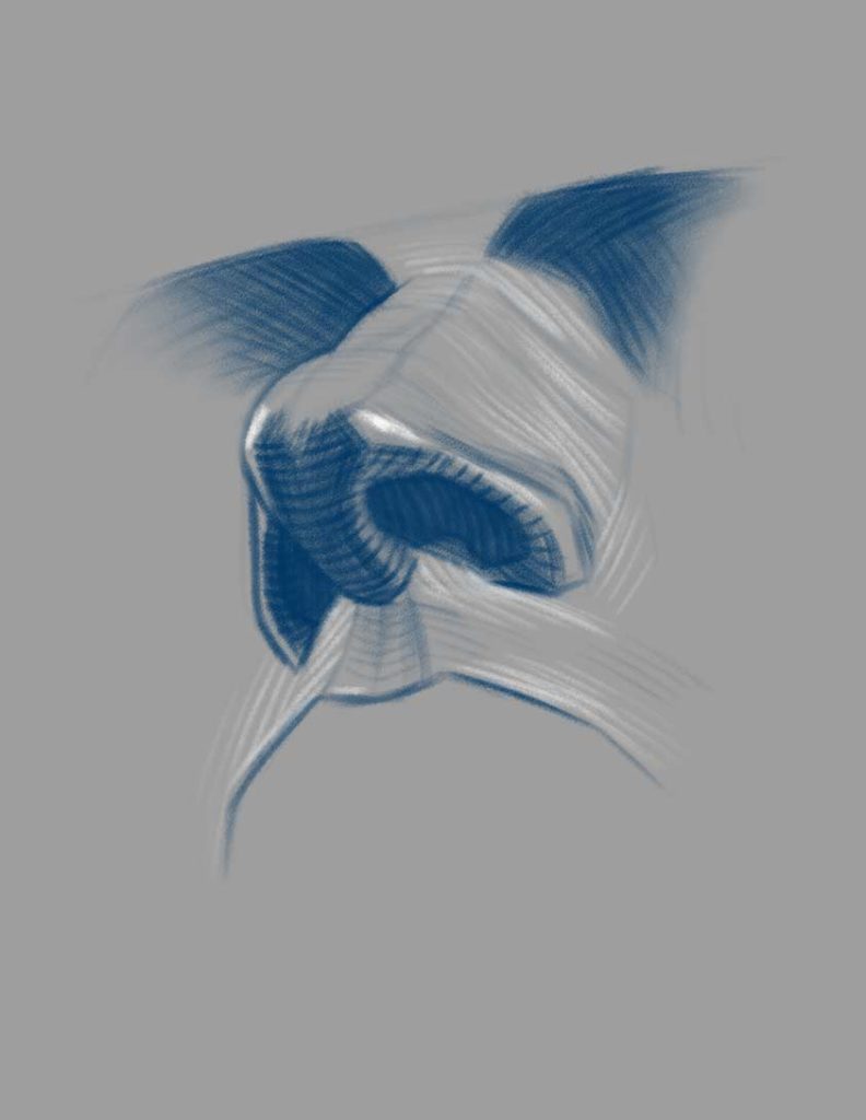 Sales Page – Drawing Noses Made Simple | My Drawing Tutorials